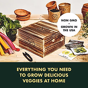 Indoor Vegetable Garden Starter Kit with Exotic Vegetable Seeds- 4 Non-GMO Heirloom Seeds for Planting, Soil, Pots, Plant Markers, Trimmers, Wood Planter Box, DIY Veggie Growing Kit, Gardening Gifts