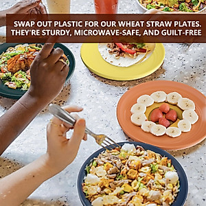 underbartliv Wheat Straw Plates,Alternative for Plastic Plates,9 Inch Unbreakable Kitchen Plates Set of 8,Dishwasher & Microwave Safe Dinner Plate Set Reusable, BPA Free,4 Color Designs