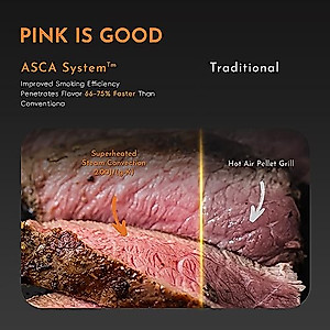 Portable Pellet Grill & Smoker - ASMOKE AS350 256 sq. Pellet Smoker w/Meat Probe, ASCA System™ Smoker Grill, Easy to Set Up & Clean Portable Smoker, Auto Temp Control 8-In-1 Wood Pellet Grill, Blue