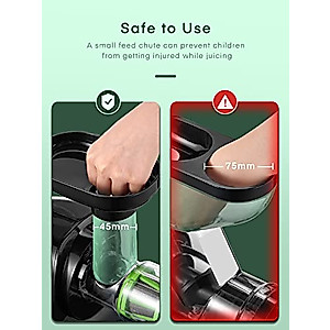 Juicer Machines, HOUSNAT Professional Celery Slow Masticating Juicer Extractor Easy to Clean, Cold Press Juicer with Quiet Motor and Reverse Function for Fruit & Vegetable, Brushes & Recipes Included, Black