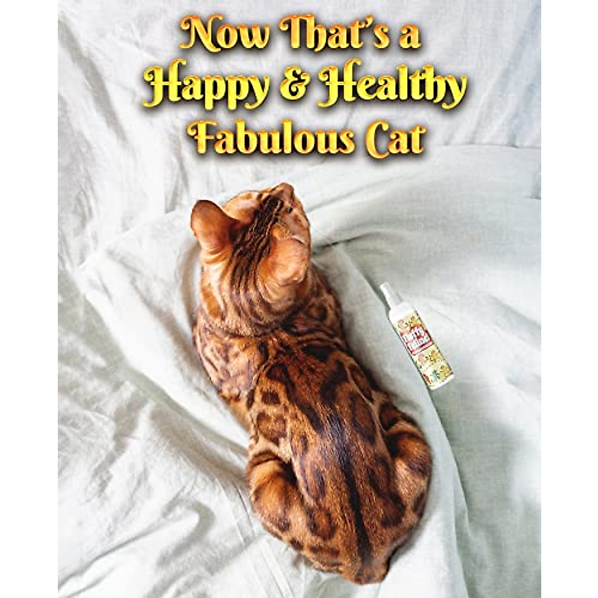 Fluffy Feline Professional Groomer's Choice for Cat Dandruff Care Spray