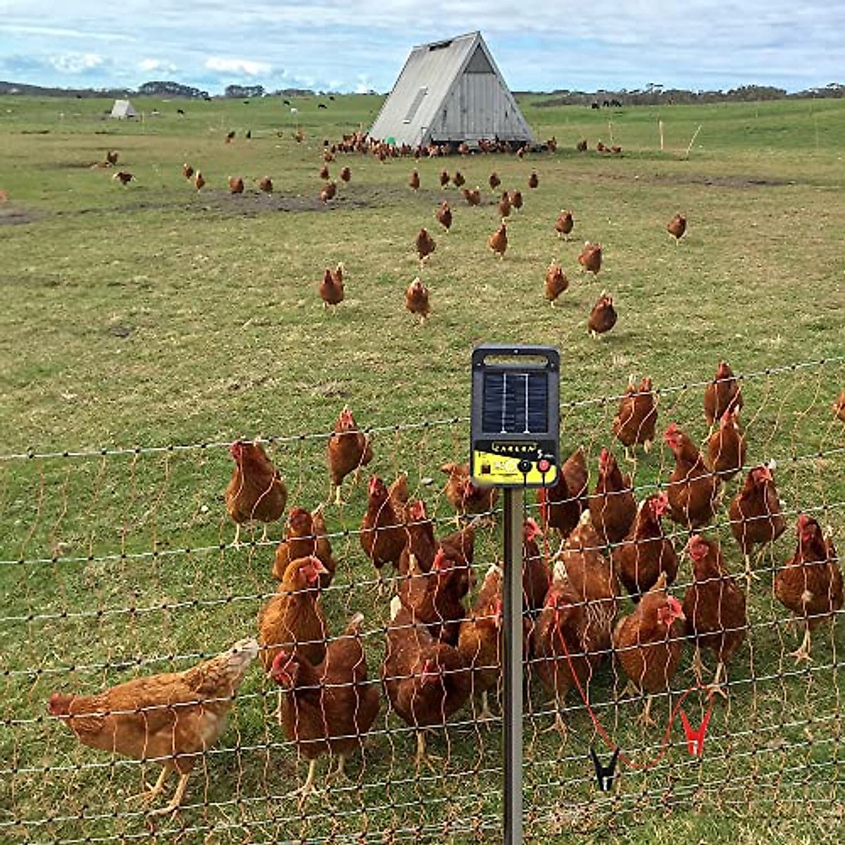 Electric Fence Wire Connect The Energizer and Electric Fence Charger Solar Fence Charger Solar Powered Electric Fence, Solar Electric Fence, Electric Fence Lead Wire with Alligator Clip, 3 Ft/91cm