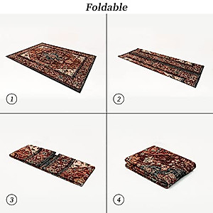 Valenrug Area Rug 5x7 - Stain Resistant Lightweight Washable Rug, Anti-Skid Rugs for Living Room, Vintage Tribal Area Rug(Coffee/Red, 5'x7')