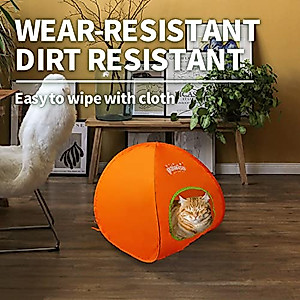PAWISE Cat Toys Cat Portable Cat Cube Pop Up Collapsible Kitten Indoor Outdoor Toys Pet Foldable Breathable Pet Tent Bed Kitten Puppy House Playing Toy (Color Random)