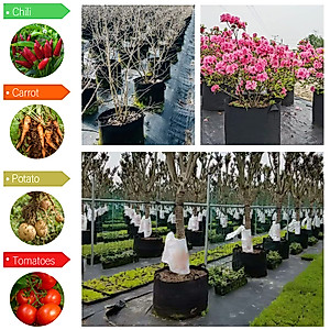 KuMers 12 Pack Grow Bags 5 Gallon, 300G Heavy Duty Thickened Non-Woven Plant Bag Plant Fabric Pots with Handles Planting Bags, Pot for Plants