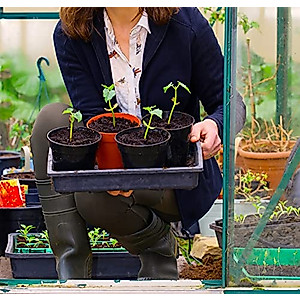 Cezoyx 10 Pack Plant Growing Trays with No Drain Holes, 15 x 11 x 2.5 Inch Garden Seed Starter Trays Hydroponics Growing Trays Nursery Tray for Seedlings, Indoor Gardening, Growing Microgreens