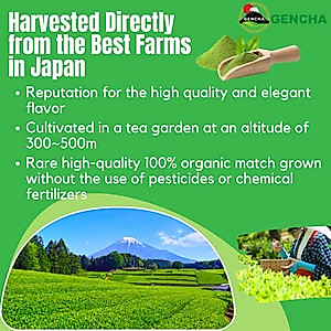 GENCHA Matcha Green Tea Powder, Japanese Organic Matcha Powder (Premium Second Harvest Culinary Grade, 3.52 oz) 2023 New Launch Directly from Japan