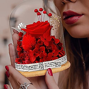 HENJADE Artificial Flower Rose Gift Decorations Beauty Rose Flowers, Rose Glass Dome, Red Forever Rose, Flower in Glass Dome, for Her Unique Gifts for Mom Valentine Christmas(Red)