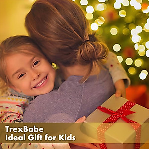 Toddler Swing Seat Indoor,Steel Baby Swing Outdoor Simple Assembly,Portable Canvas Baby Swing with Safety Belt,Columpios para NiñOs 1-6 AñOs,Tree Swings Or Backyard,Full Set of Ceiling Screws