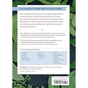 Northeast Medicinal Plants: Identify, Harvest, and Use 111 Wild Herbs for Health and Wellness (Medicinal Plants Series)