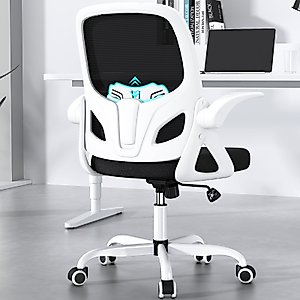 Kensaker Home Desk Chair with Back Supportive Lumbar Support, Breathable Double Mesh Cushion Home Desk Office Chair with Flip up Arms, Modern Ergonomic Home Desk Office Chair for Home and Work(White)