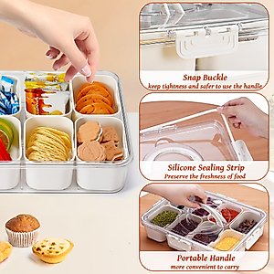 Snackle Box Container, Divided Serving Tray with Lid and Handle, Portable Snackle Box Charcuterie Container for Candy, Fruits, Veggie, Travel & Picnic (1 Pack with 8 Compartments)