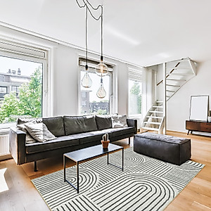 Lahome Abstract Washable Area Rug, 5x7 Rug for Bedroom Non-Slip Soft Living Room Rug, Ultra-Thin Modern Black and White Rug Stain Resistance Throw Large Carpet for Dining Room (5'x7',Black)