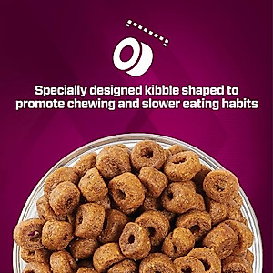 Eukanuba Premium Performance Puppy Pro Dry Dog Food, 4 lb Bag