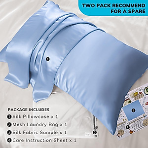 PROMEED Natural 23 Momme Silk Toddler Pillowcase for Baby Hair and Skin, Fits Pillow 13x18, Both Sides 100% Mulberry Silk Baby Travel Pillow Cases with Laundry Bag (Toddler/Travel-13 x18, Light Blue)