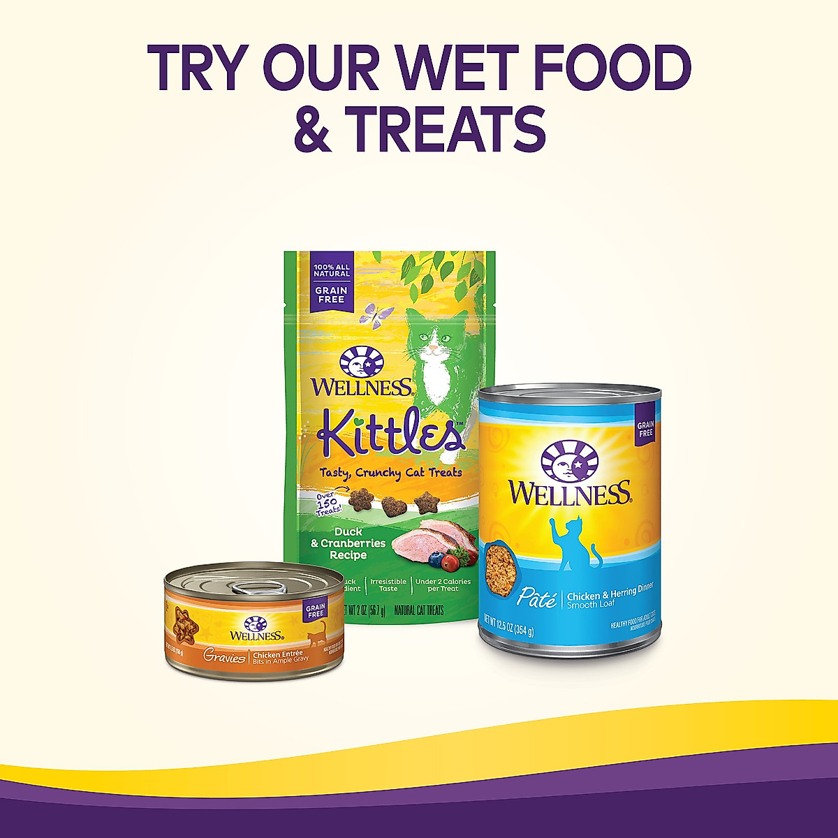 Wellness Natural Pet Food Complete Health Grain-Free Indoor Deboned Chicken Recipe Dry Cat Food, 5.5 Pound Bag