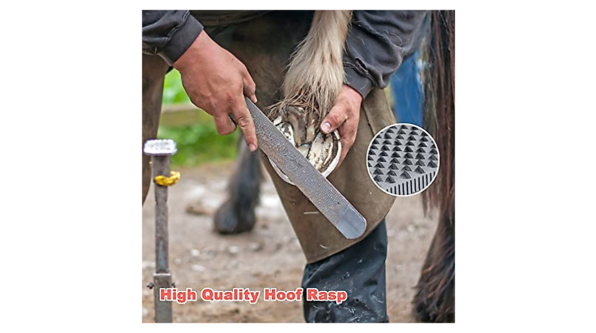 UJD Professional Farrier Tool Kit for Horses