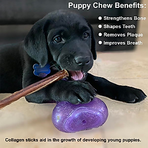 Puppy In Training Beef Collagen Sticks for Dogs, Bully Stick and Rawhide Alternative, All Natural, Teething Chew for Puppies, Low Odor, 6 in, 5 ct Pack