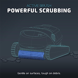 Dolphin Genuine Replacement Part — Front Blue Brush — 99831221-R1