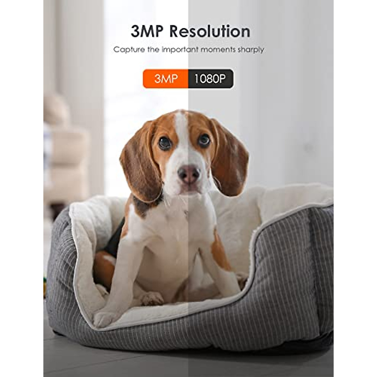 BabyTime Pet Camera, Indoor 2K 360° Wi-Fi Smart Camera with Night Vision, Motion Detection, Two-Way Audio, Compatible with Alex