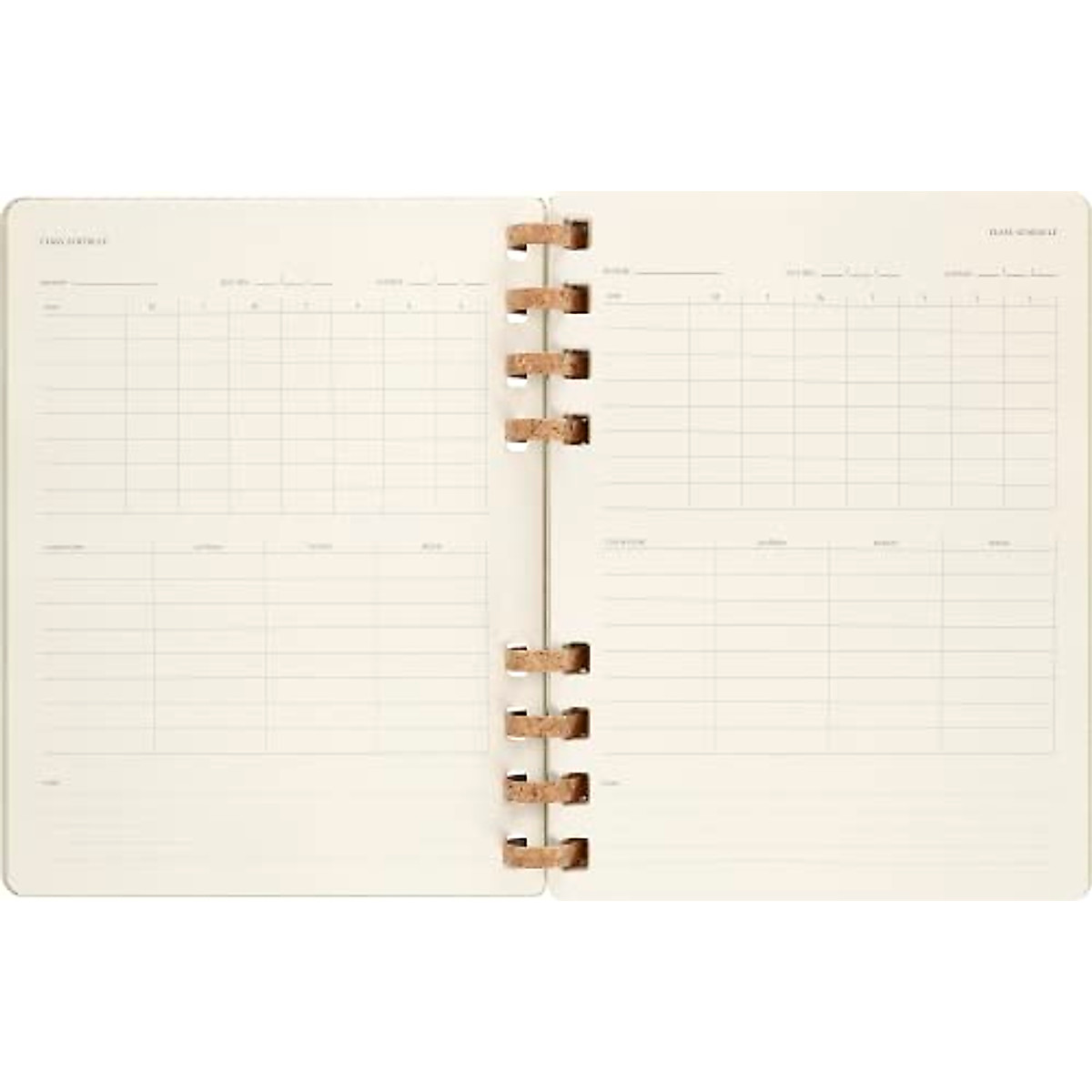 Moleskine 2024 Spiral Academic Planner, 12M, Extra Large, Crush Kiwi, Hard Cover (7.5 x 10)