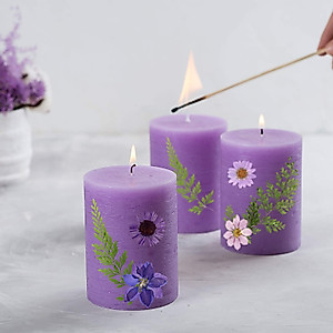 Real Dried Pressed Flowers Resin Leaves Natural Pressed Chrysanthemum Daisy Flowers with Tweezers for Scrapbooking DIY Candle Decoration Jewelry Crafts Making(Classic Style)