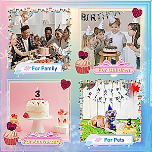 3inch Birthday Number Candle, Cake Topper Candle with Crown Black Numeral Cake Candles Birthday Cake Candle for Birthday Anniversary Parties (Number 3)