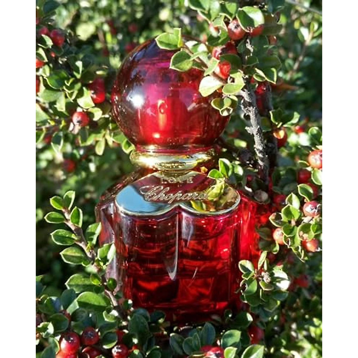 Chopard Love For Women - A Seductive, Romantic Eau De Parfum Fragrance For Her - Sweet, Fragrant Rose With Complimenting Citrus And Jasmine Notes - Elegant, Noble Glass Bottle Design - 1 Oz
