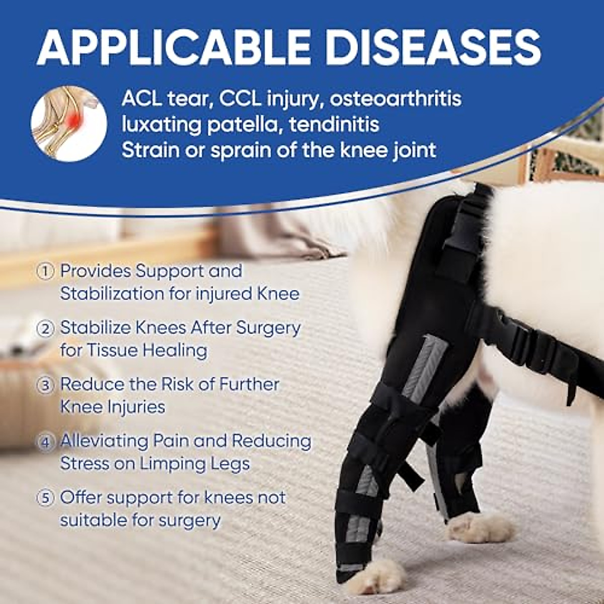 NATUYA Dog Knee Brace for Torn ACL Hind Leg, CCL, Luxating Patella, Dog Leg Braces with Side Stabilizers - Better Recovery and Prevent Licking, Relieves Joint Pain (Black, M)