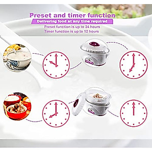 Tianji DDZ-16BWS Smart Twin Ceramic Pot Electric Stewpot with Steam tray,1.6L/300W