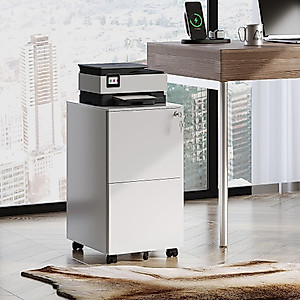 DEVAISE 2-Drawer Mobile File Cabinet with Lock, Commercial Vertical Cabinet in White