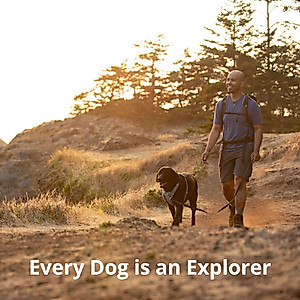 Ruffwear, Front Range Dog Harness, Reflective and Padded, No Pull Harness for Training and Everyday, Basalt Gray, Small