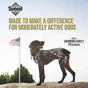 Diamond PREMIUM RECIPE Maintenance Complete and Balanced Dry Dog Food for a Moderately Active Dog, 40lb