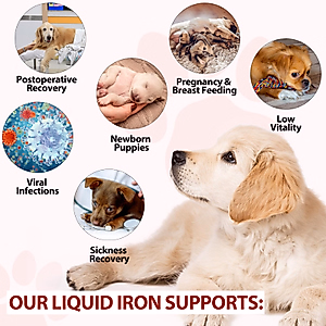 Iron Supplements for Dogs, Liquid Iron for Dogs with Folate and B12 Supports Anemia, Supplement for Anemia in Dogs, Promotes Blood Health 2 oz