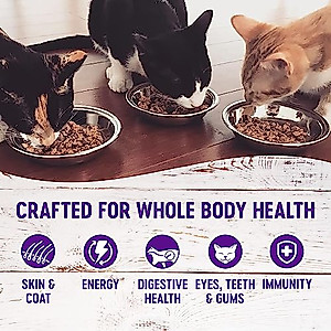 Wellness Complete Health Grain Free Canned Cat Food, Chicken Pate, 3 Ounces (Pack of 24)