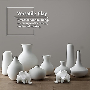 Old Potters Low Fire Pottery Clay White, 10 lbs (Cones 04 - 3) Art Modeling Clay, Ideal for Wheel Throwing and Hand Building, Pottery Clay for Sculpting, Beginners, and Advanced