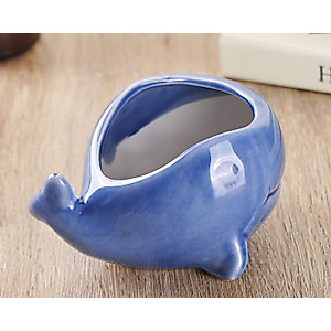 VanEnjoy 5" Ceramic Succulent Pot, Cute Ocean Blue Seashell Series, Conch Shaped Cactus Pot Planter, Flower Pot, Pottery Bonsai Pot (Dark Blue Whale)