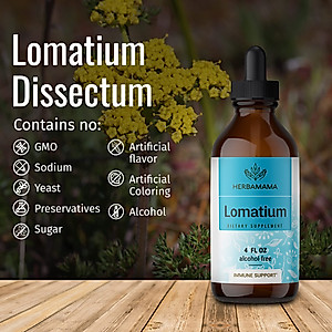 HERBAMAMA Lomatium Tincture - Organic Lomatium Root Drops (4 Fl Oz (Pack of 1))