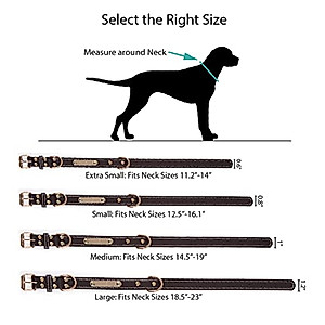 Personalized Dog Collar - Engraved Vegan Soft Leather - Custom Small Medium or Large Size with Name Plate (Large, Brown)