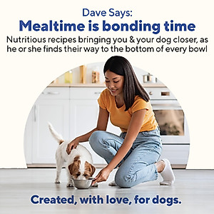 Dave's Pet Food Grain Free Wet Dog Food (Turkey & Sweet Potato in Gravy), Made in USA Naturally Healthy Canned Dog Food, Added Vitamins & Minerals, Wheat & Gluten-Free, 13.2 oz Cans (Case of 12)