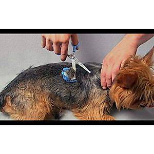 SCAREDY CUT Silent Pet Grooming Kit for Dog, Cat and All Pet Grooming - A Quiet Alternative to Electric Clippers for Sensitive Pets (Right-Handed Blue)