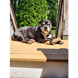 Unleashed Concepts Natural Coffee Wood chew for Dogs (Medium)