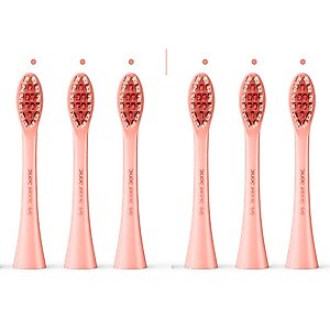 Replacement Toothbrush Brush Heads for Wagner & Stern and Wagner Switzerland toothbrushes. (Pink)
