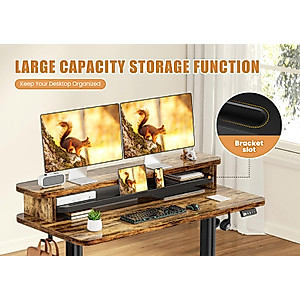 Flycity Electric Standing Desk with Dual Monitor Stand, Height Adjustable Desk Sit Stand Desk with Memory Controller, Casters & 2 Hooks, Low Noise Home Office Desk (Rustic Brown, 48" x 24")