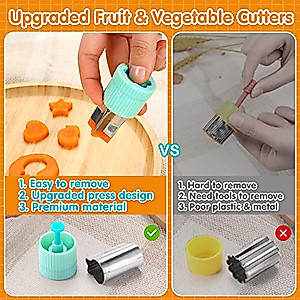 Updated Fruit Cutter Shapes Vegetable Cutters for Kids 19 PCS HINZER Mini Cookie Cutters Set with Food Picks for Kids School Lunch Bento Box Accessories DIY Kitchen Baking Pastry Cookie Stamps Mold