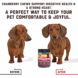 180 Cranberry Chews - Dog Cranberry Supplement - Natural Aid for Urinary Tract, Bladder, Kidney Health - Immune Support for Dogs of All Ages and Breeds - American Quality - Duck Flavor