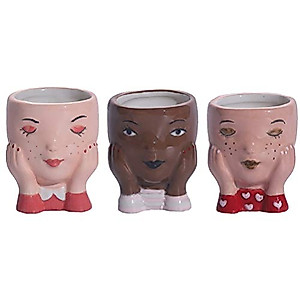 Cabilock 3pcs Ceramic Flowerpot Face Flower Vase Ceramic Indoor Planters Ceramic Head Pots for Plants Animal Succulent Planter Head Flower Pot Ceramic Pot Ceramics Head Flowerpot Flowers