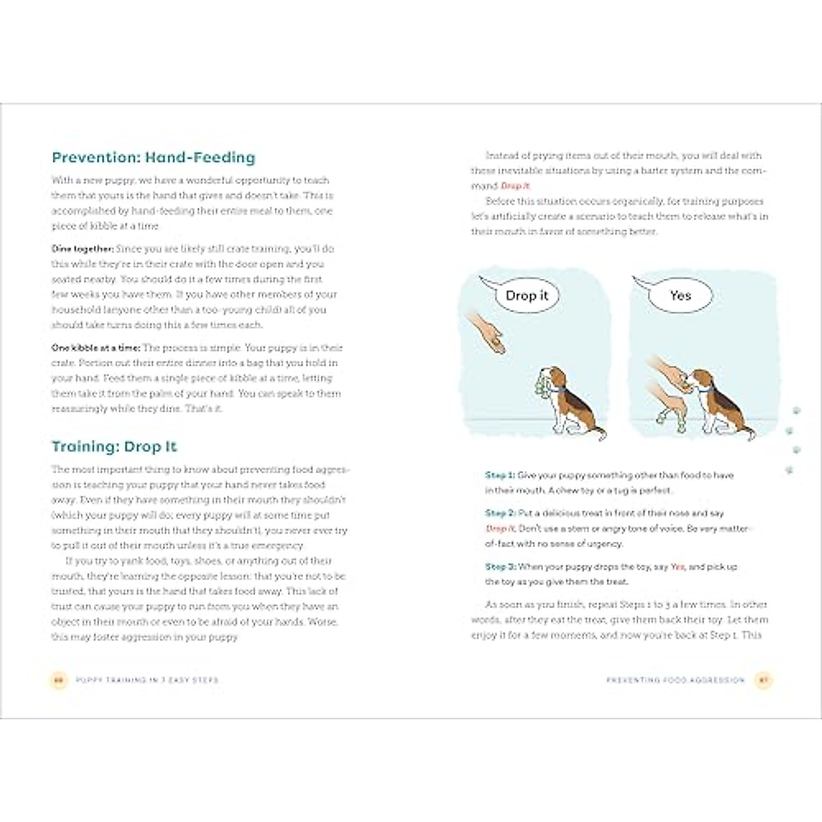 Puppy Training in 7 Easy Steps: Everything You Need to Know to Raise the Perfect Dog