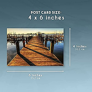 Best Paper Greetings 40 Pack Bulk Animal and Travel Postcards From Around the World for Mailing, Assorted Nature Thank You Notes (4 x 6 In)