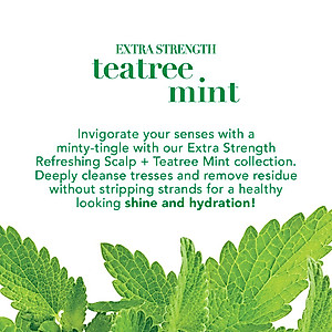 OGX Refresh Balance + Dry Shampoo 64071, Tea Tree Mint, 5 Ounce, 235ml